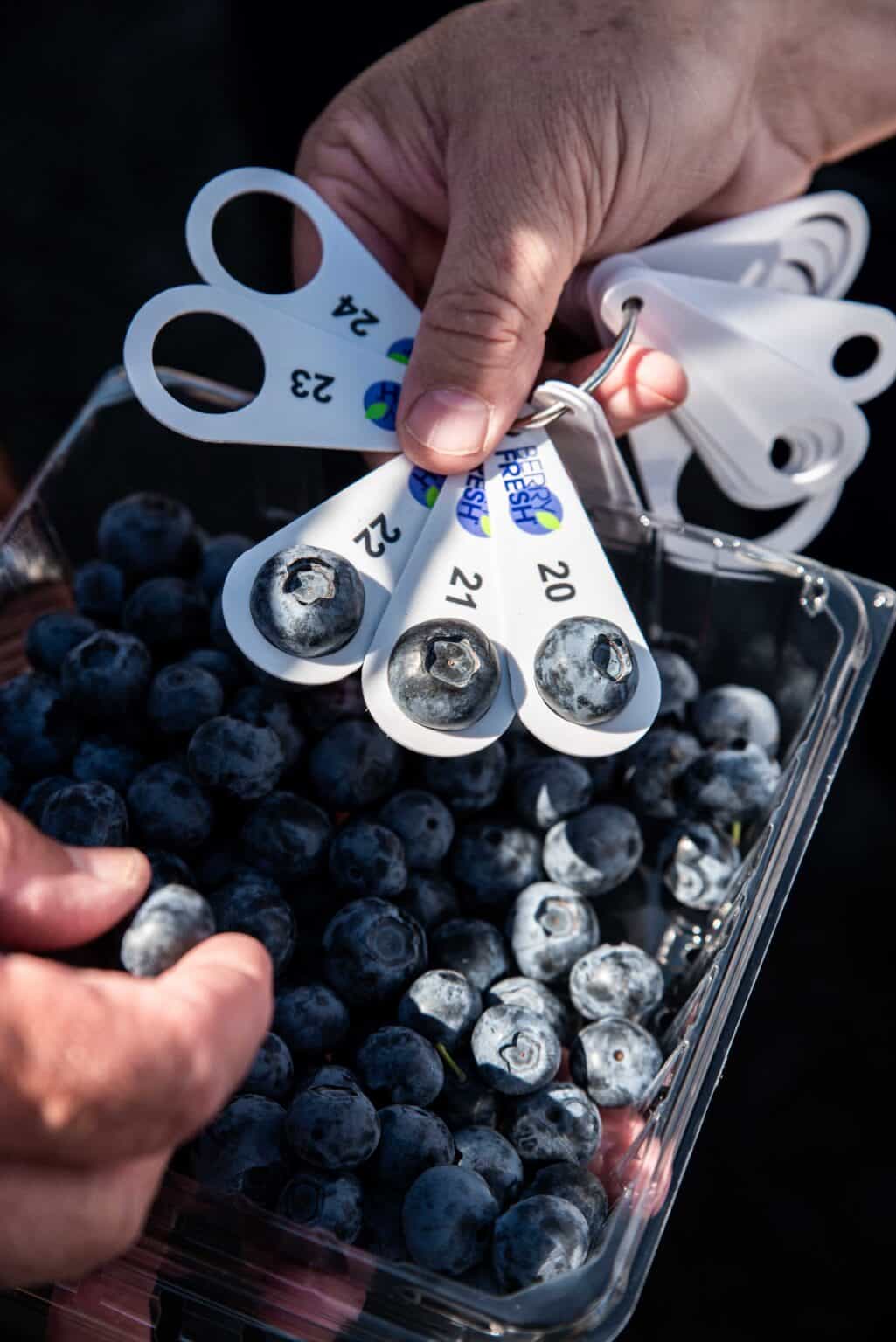 Genetics | Berry Fresh